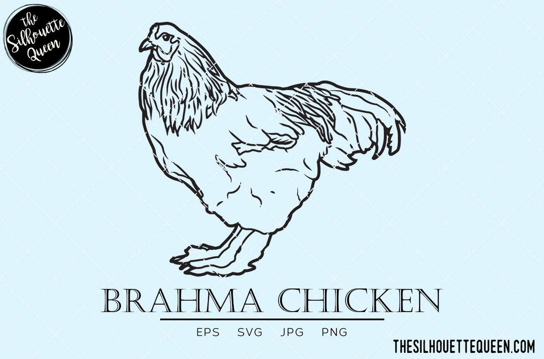 Brahma Chicken Svg, Poultry Svg, Farm Ranch Svg, Agriculture Svg ...
