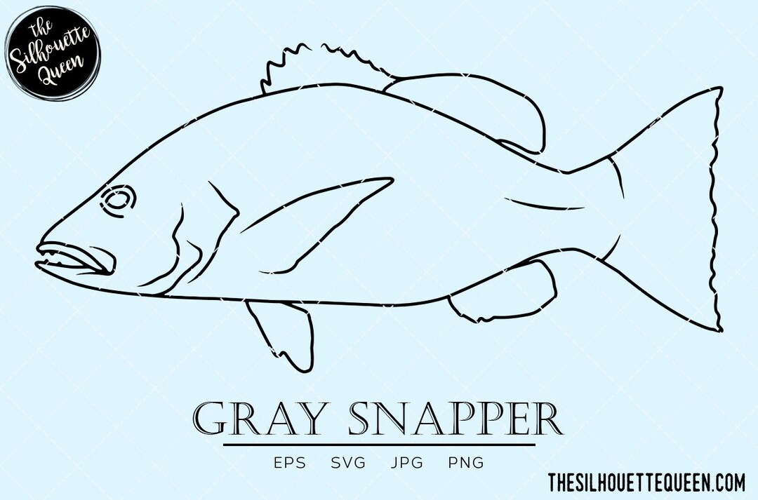 Gray Snapper Svg, Salt Water Fish Svg, Marine Svg, Aquatic Svg, Fish ...
