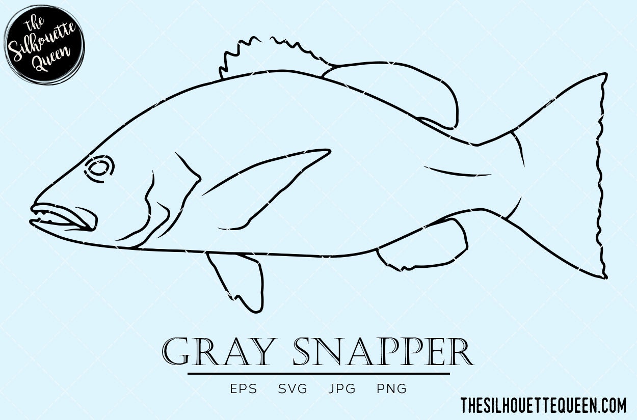 Gray Snapper Svg Salt Water Fish Svg Marine Svg Aquatic - Etsy