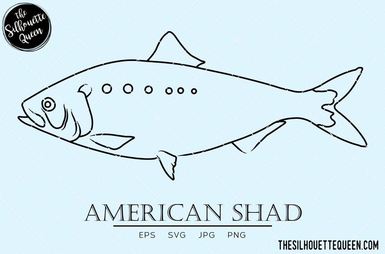 American Shad Svg Salt Water Fish Svg Marine Svg Aquatic - Etsy