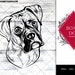 Sheepshead Svg, Salt Water Fish Svg, Marine Svg, Aquatic Svg, Fish Face ...