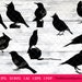 Lark Bird SVG Files Bundle, Flying Bird SVG, Sitting Bird SVG ...