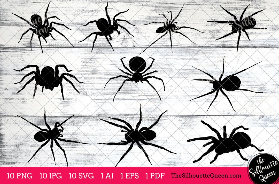 Spider Svg, Spider Monogram, Spider Svg File, Spider Cuttable, Spider ...