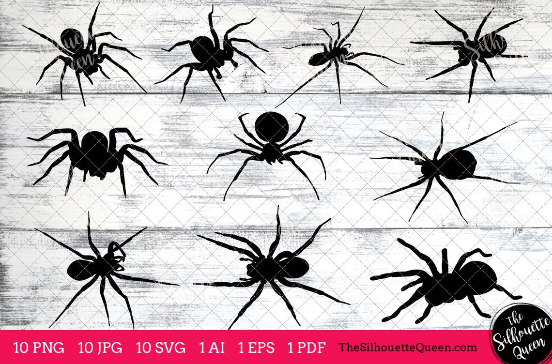 Spider Svg Spider Monogram Spider Svg File Spider Cuttable - Etsy