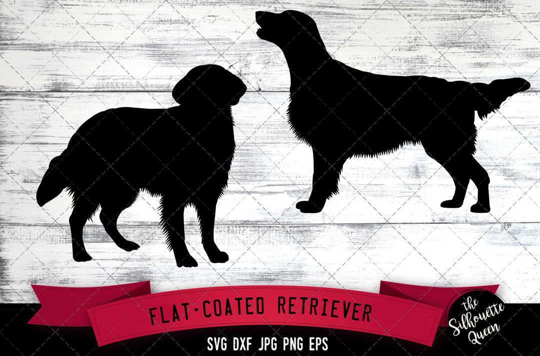 Flat Coated Retriever SVG Files, Dog Svg, Silhouette File, Cricut File ...
