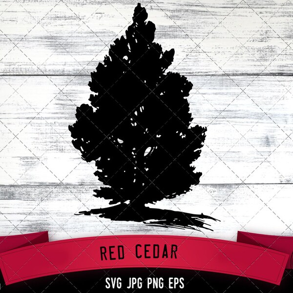 Red Cedar Svg - Etsy