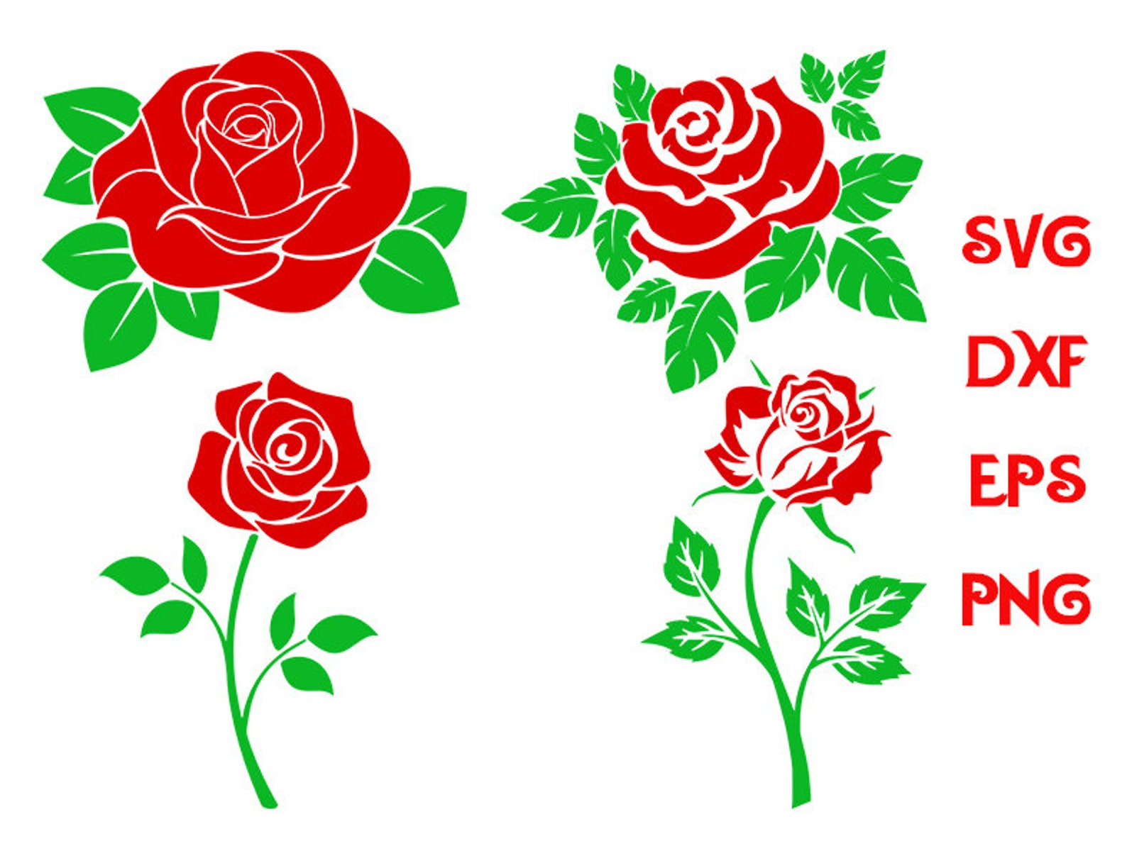 Red rose svg roses clipart svg flowers svg roses svg | Etsy