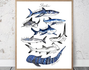 Shark Poster Shark Print Shark Species Watercolor Sharks | Etsy