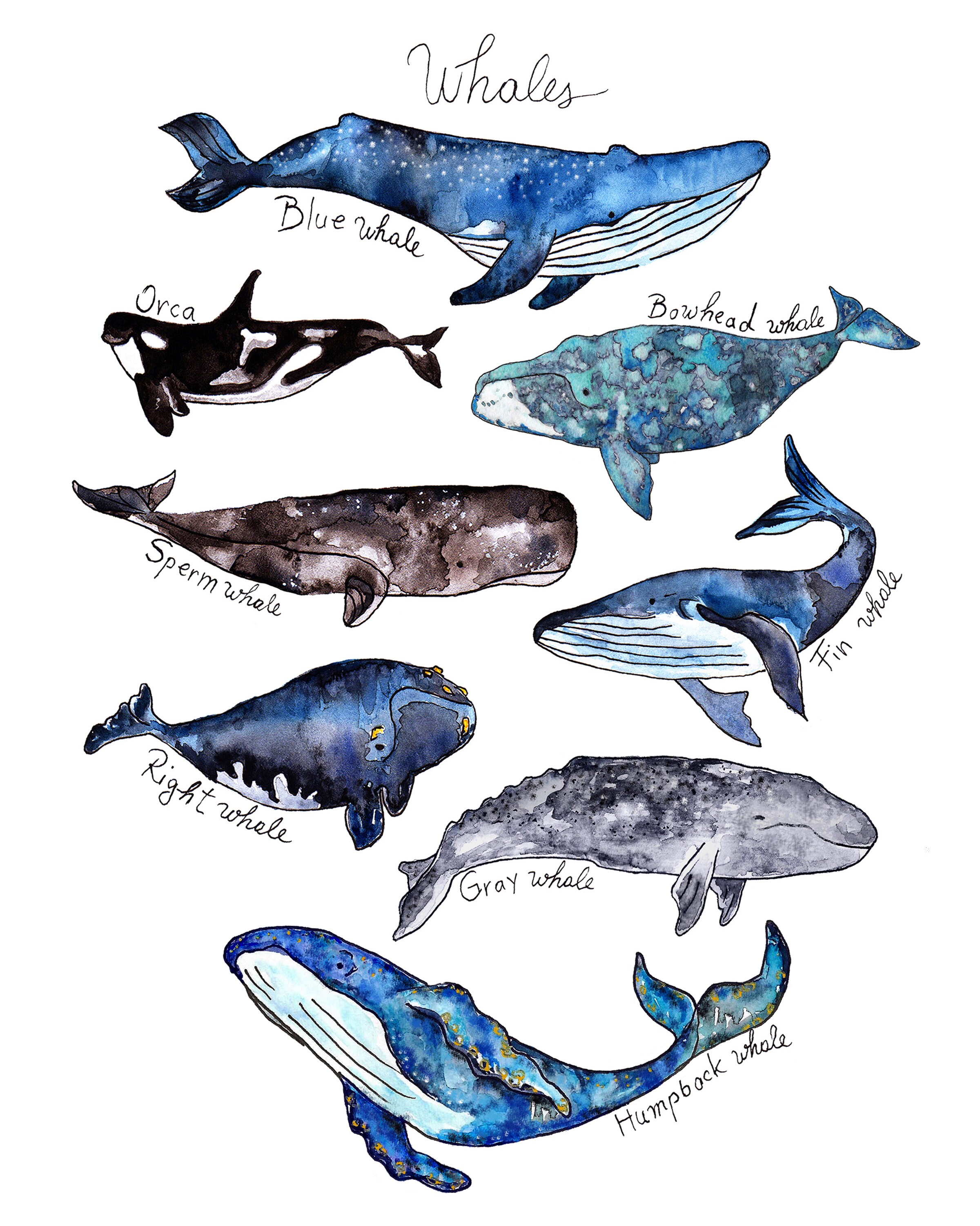 Watercolor Whale Print Whales Nautical Decor Whale Art Kids Room ...
