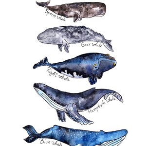 Watercolor Whales Print Kids Room Decor Nautical Ocean Print Whales ...