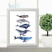 Watercolor Whales Print Kids Room Decor Nautical Ocean Print - Etsy