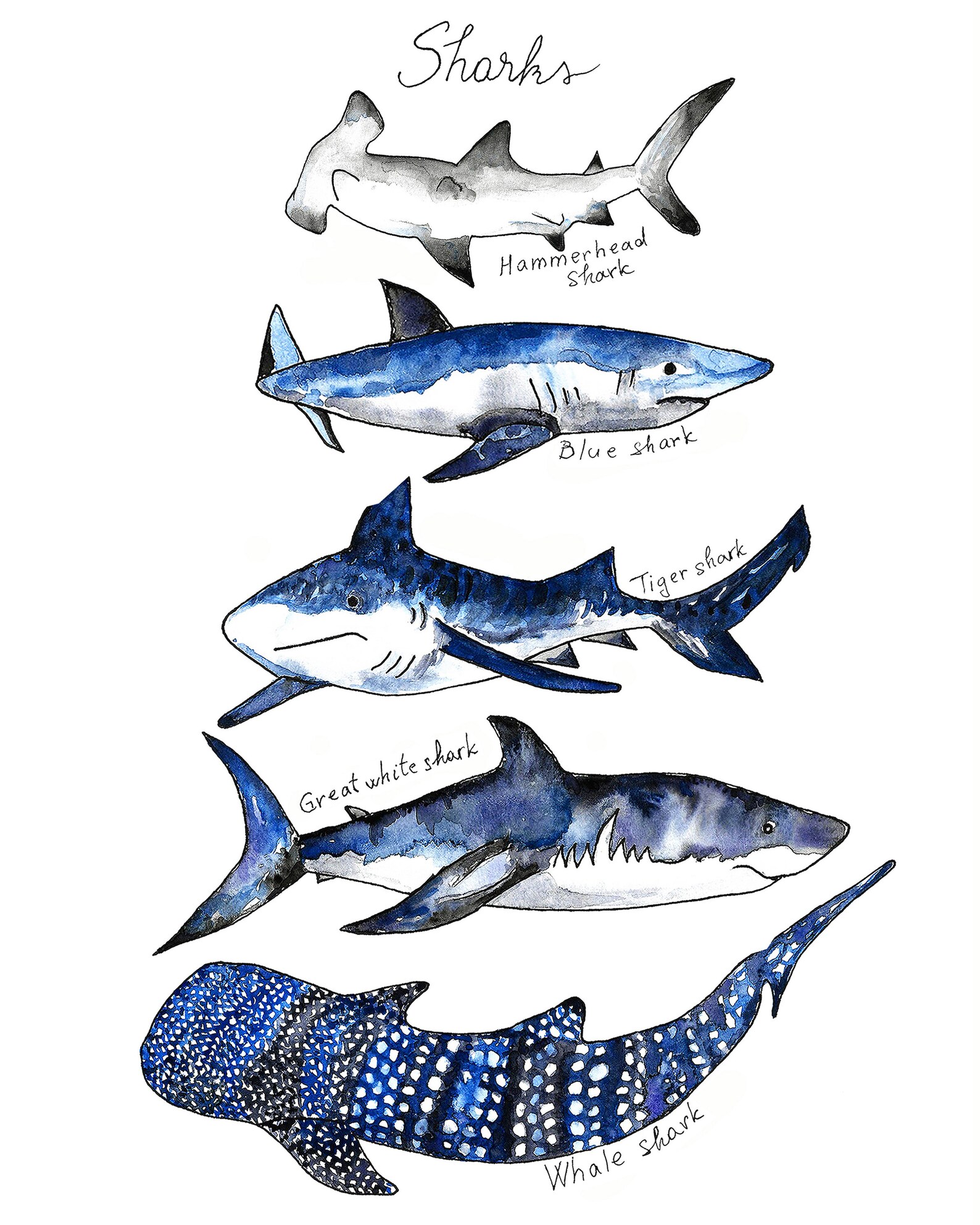 Watercolor Sharks Printable Art Sharks Print Nautical Decor Ocean Print ...