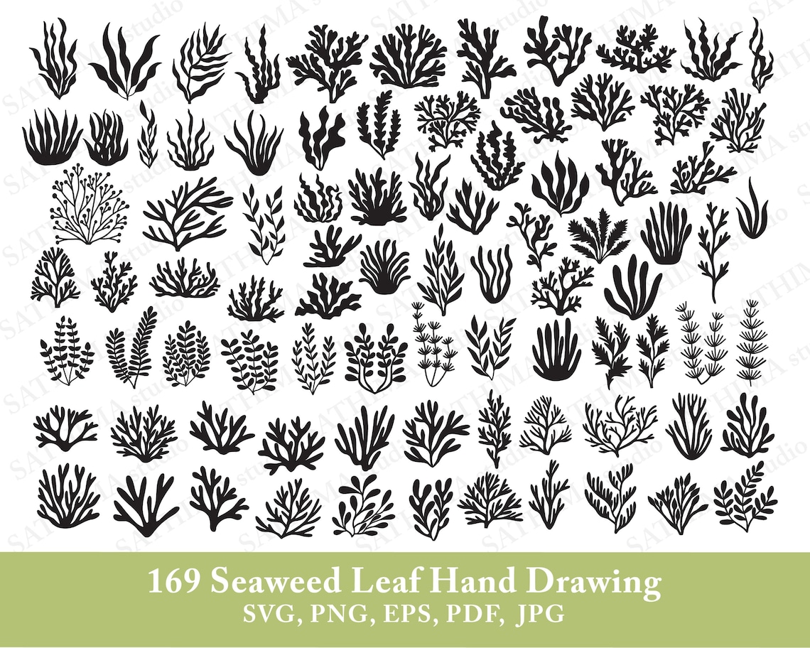 Seaweed Svg | Seaweed Leaf Svg | Seaweed Clipart | Seaweed Silhouette ...
