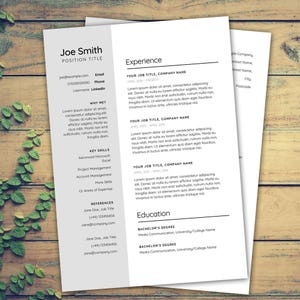 Professional Resume Template , Grey Resume Template, Neutral Grey ...