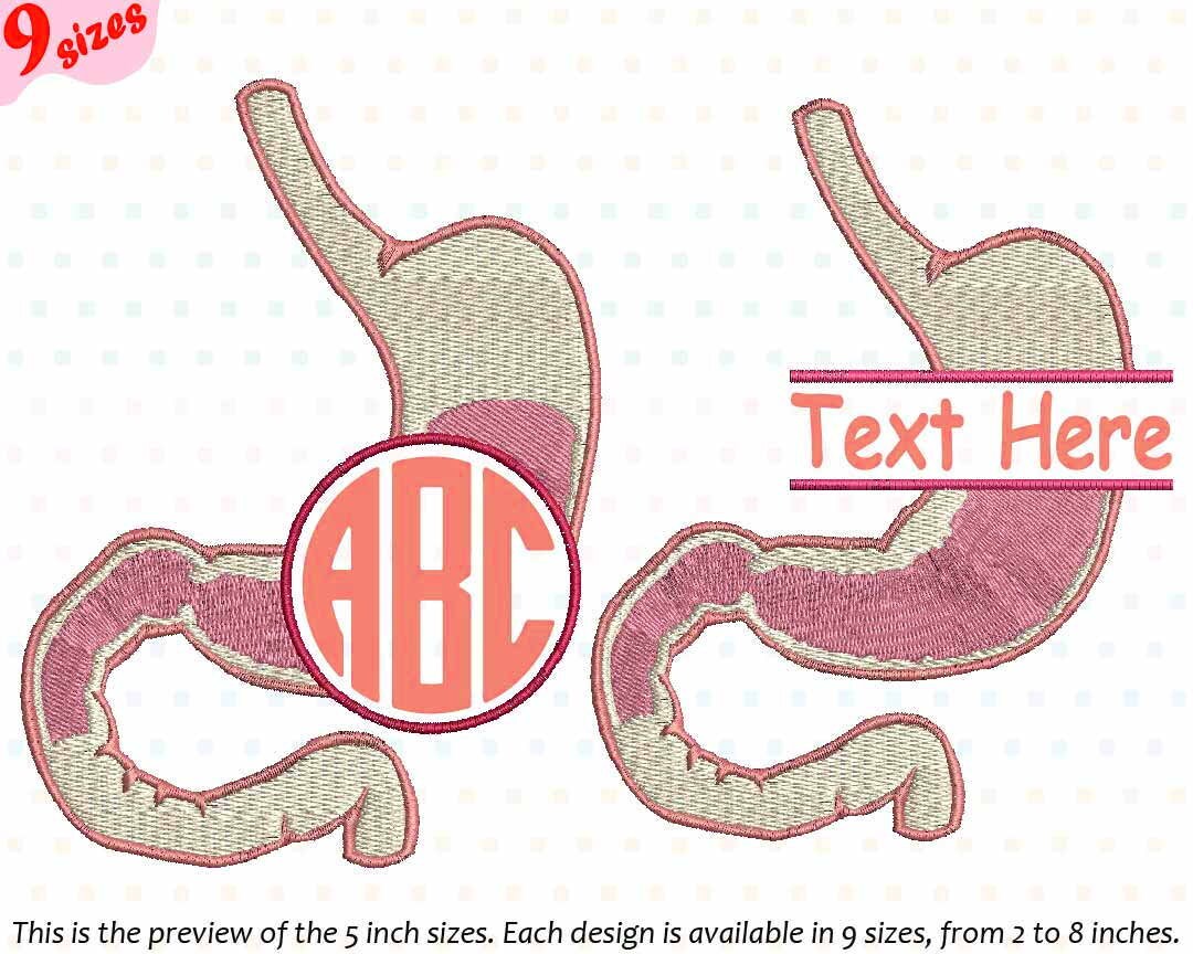 Stomach Circle Split Embroidery Design Machine Instant Commercial Use ...