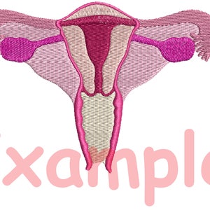 Organs Anatomy Embroidery Design Machine Instant Download Commercial ...