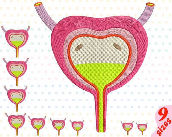 Bladder Embroidery Design Machine Instant Download Commercial | Etsy