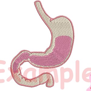 Organs Anatomy Embroidery Design Machine Instant Download Commercial ...