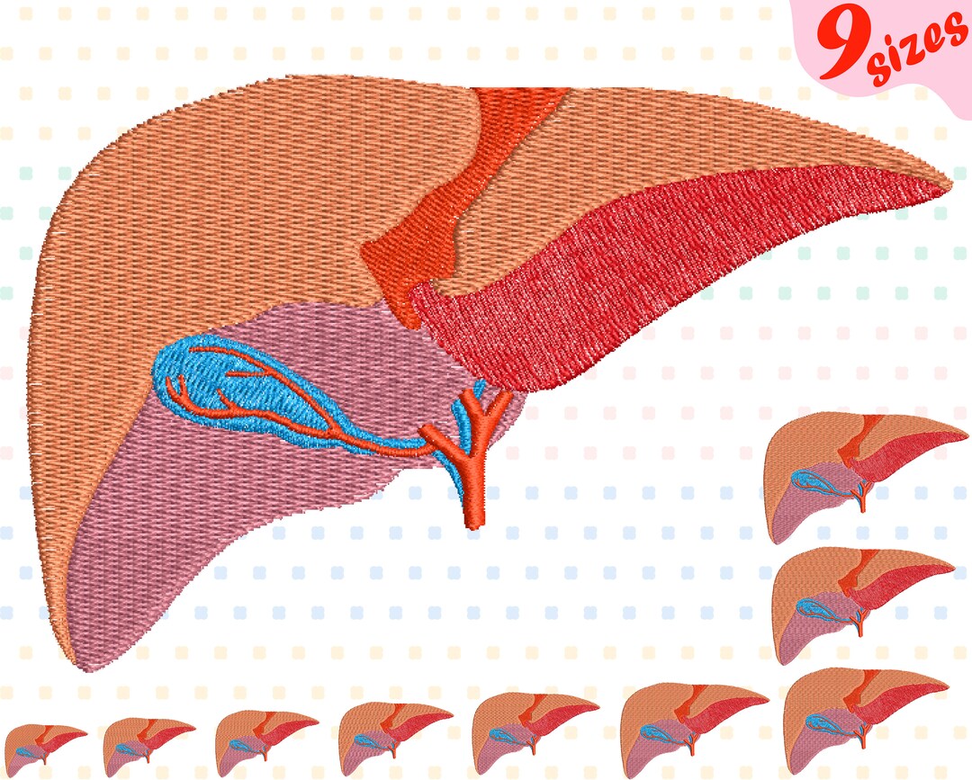 Liver Embroidery Design Machine Instant Download Commercial Use Digital ...