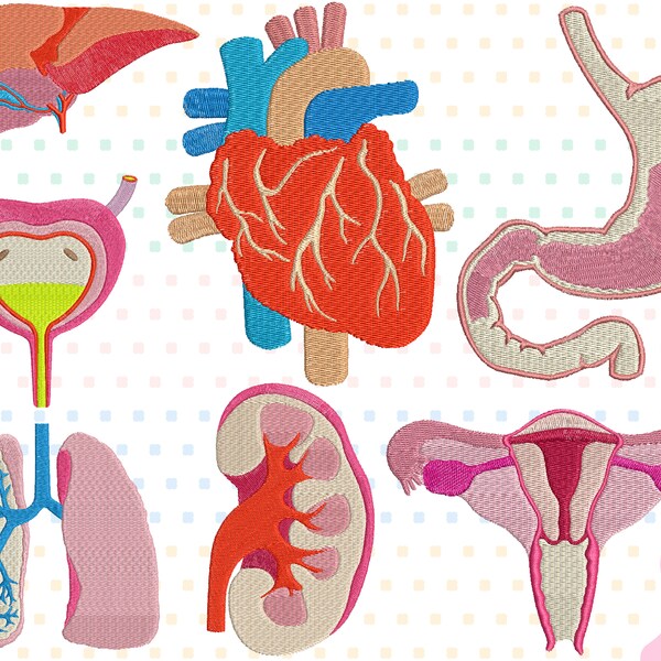 Embroidery Anatomy - Etsy