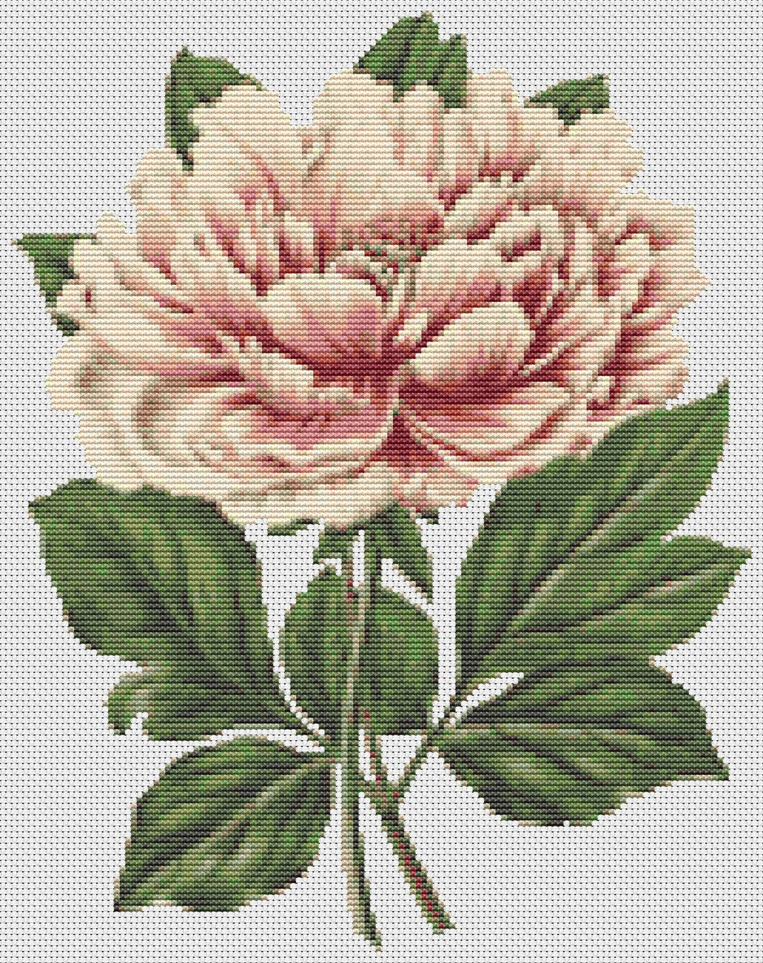 Peony, Cross Stitch Pattern, PDF Pattern, Round Design, Digital ...