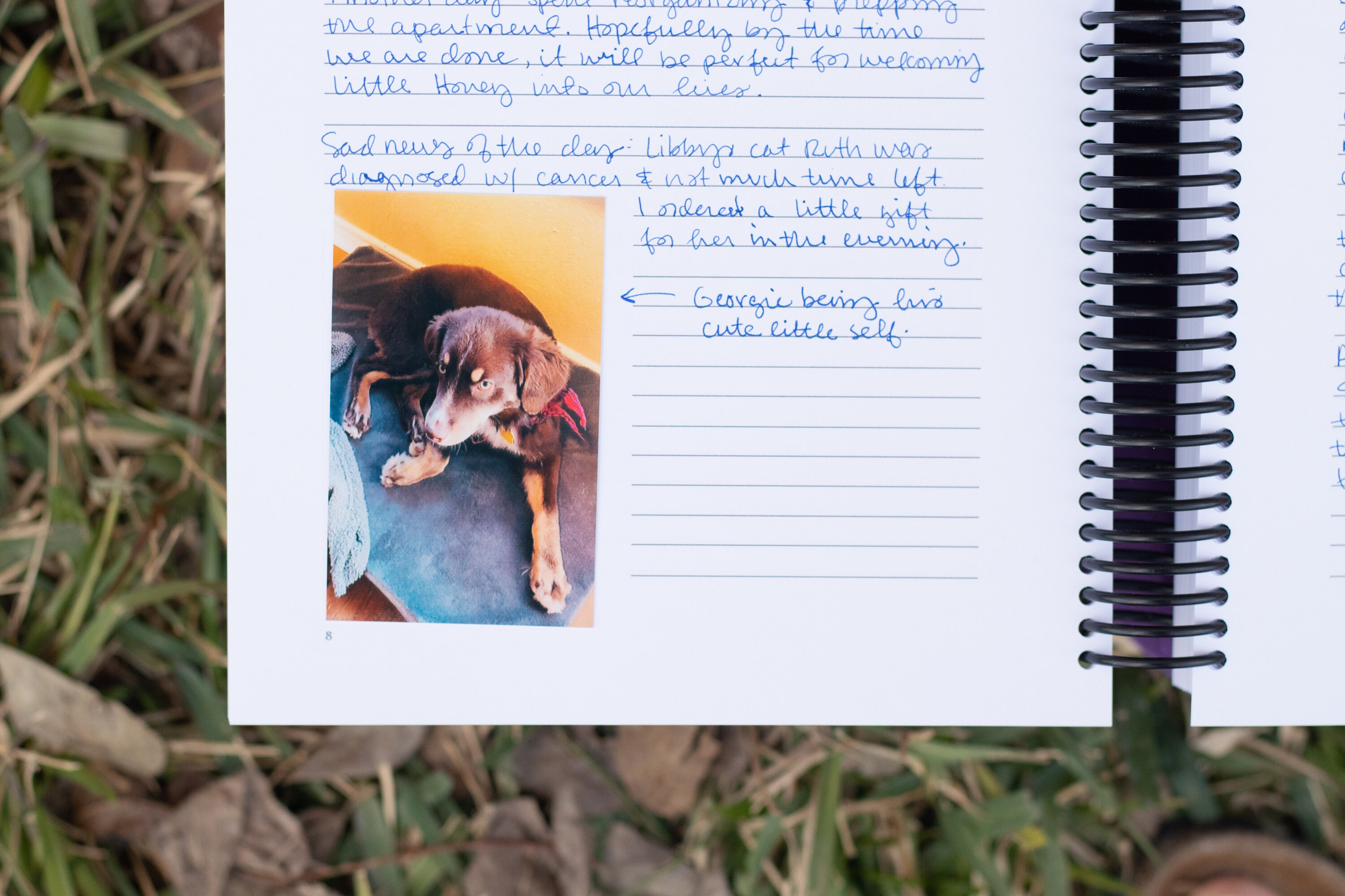 Daily Journal 365 Days of Journaling | Etsy