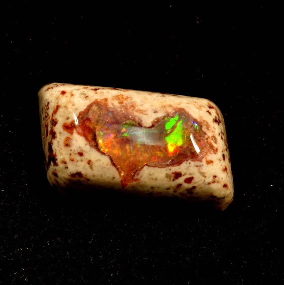 Parallelograms In Nature