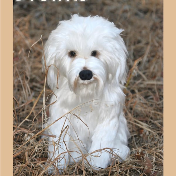 Poodle Pattern - Etsy