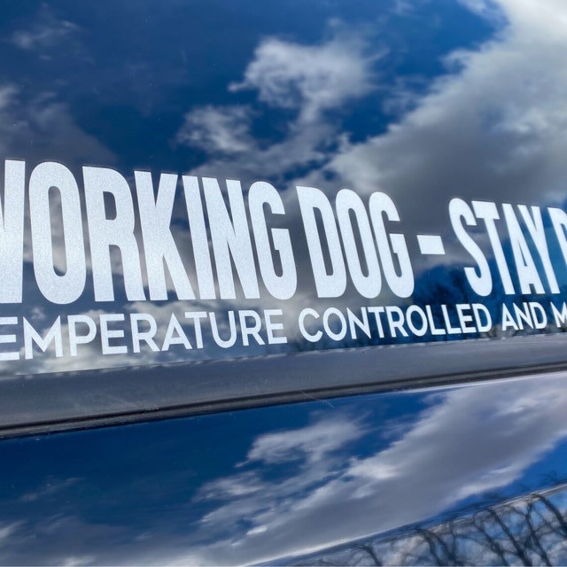 CAUTION WORKING K9 Temperature Controlled and Monitored - Etsy