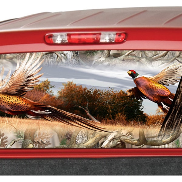 Pickup Rear Window Graphics - Etsy