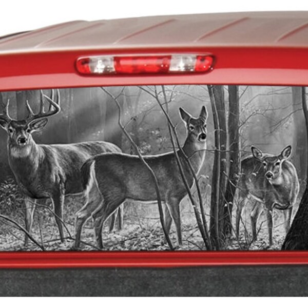 Rear Window Decal - Etsy