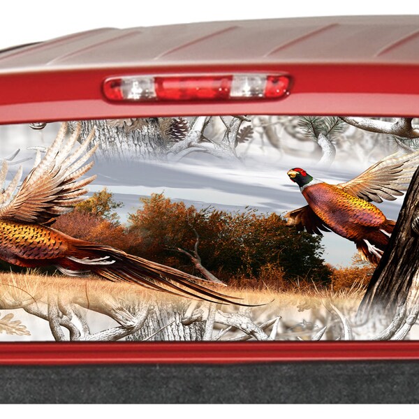 Pickup Rear Window Graphics - Etsy