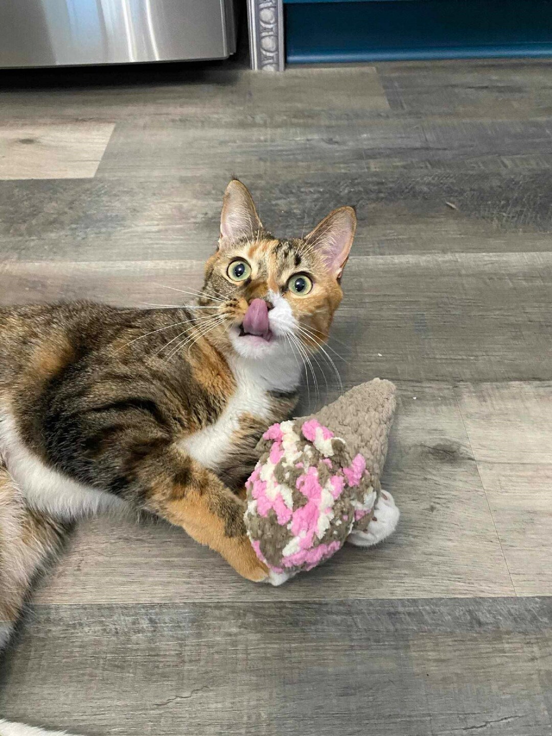NEW MEGA SCOOPS Ice Cream Cones!!! Giant Handmade Crocheted Catnip ...