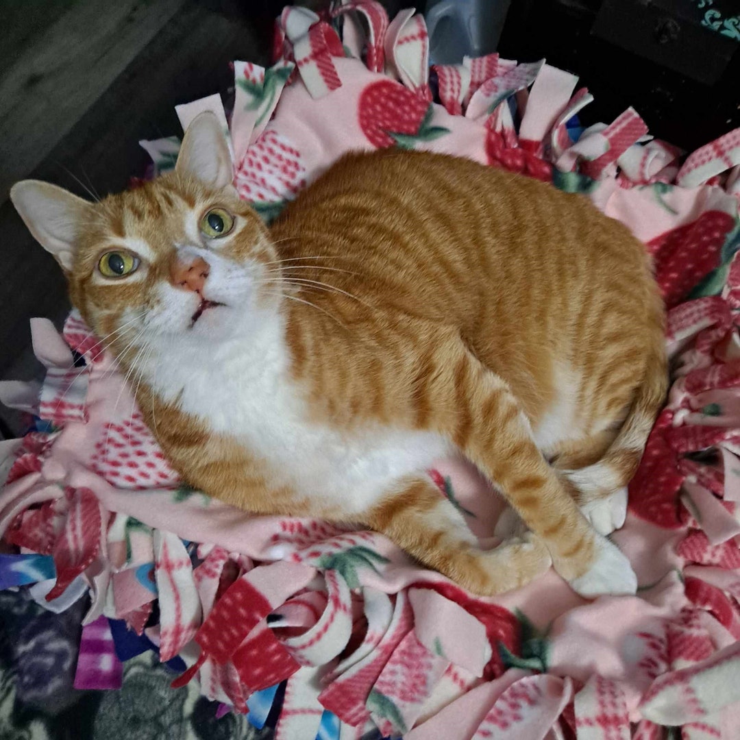 Garden Purrty SNUGGLE Pack Includes 16x16 Fleece Cat Blanket, Danknip ...