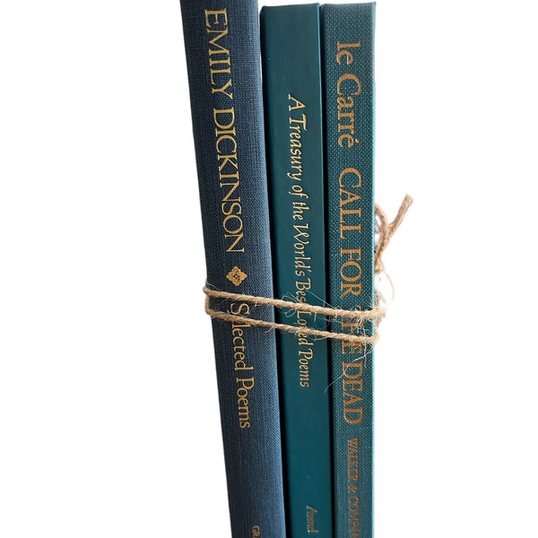Blue Book Stack - Etsy
