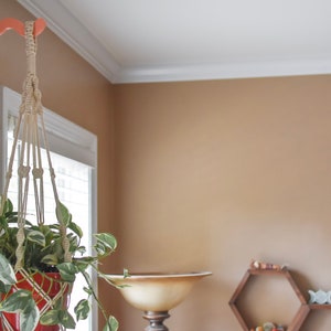 Wavy Plant Hook - Squiggle Plant Hanger - Colorful Wall Hook ...