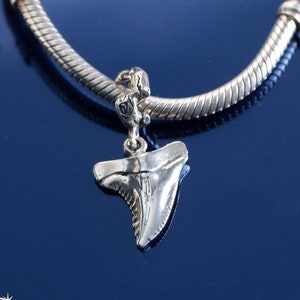 Shark Tooth Charm - Sterling Silver - Shark Tooth Charm on Coral Spacer ...
