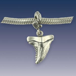 Shark Tooth Charm - Sterling Silver - Shark Tooth Charm on Coral Spacer ...