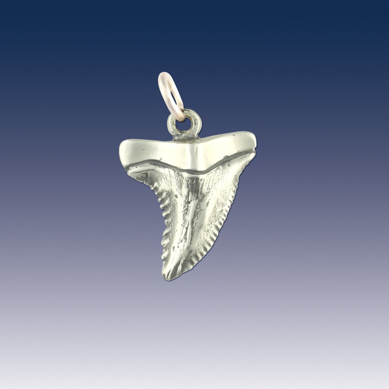 Shark Tooth Charm - Sterling Silver - Shark Tooth Charm on Coral Spacer ...