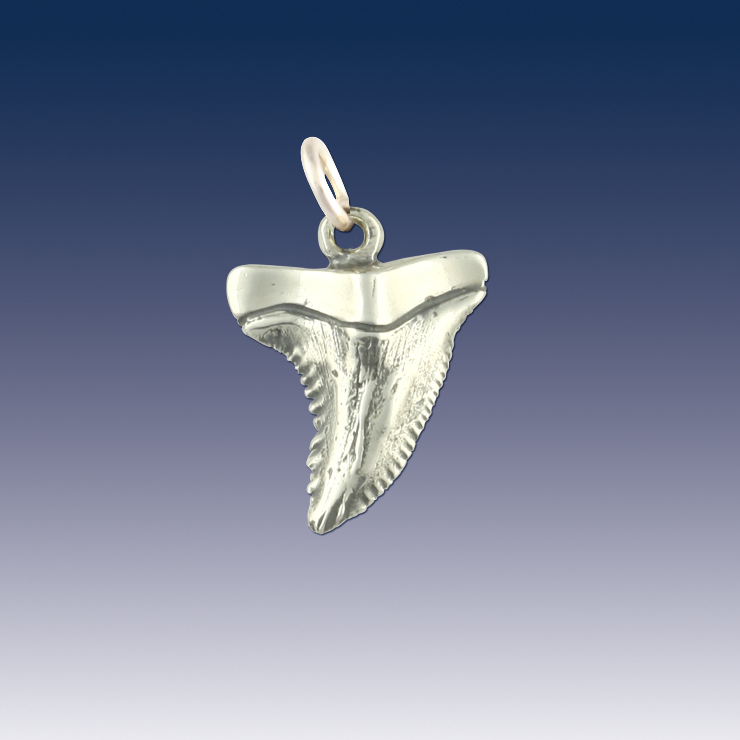 Shark Tooth Charm - Sterling Silver - Shark Tooth Charm on Coral Spacer ...