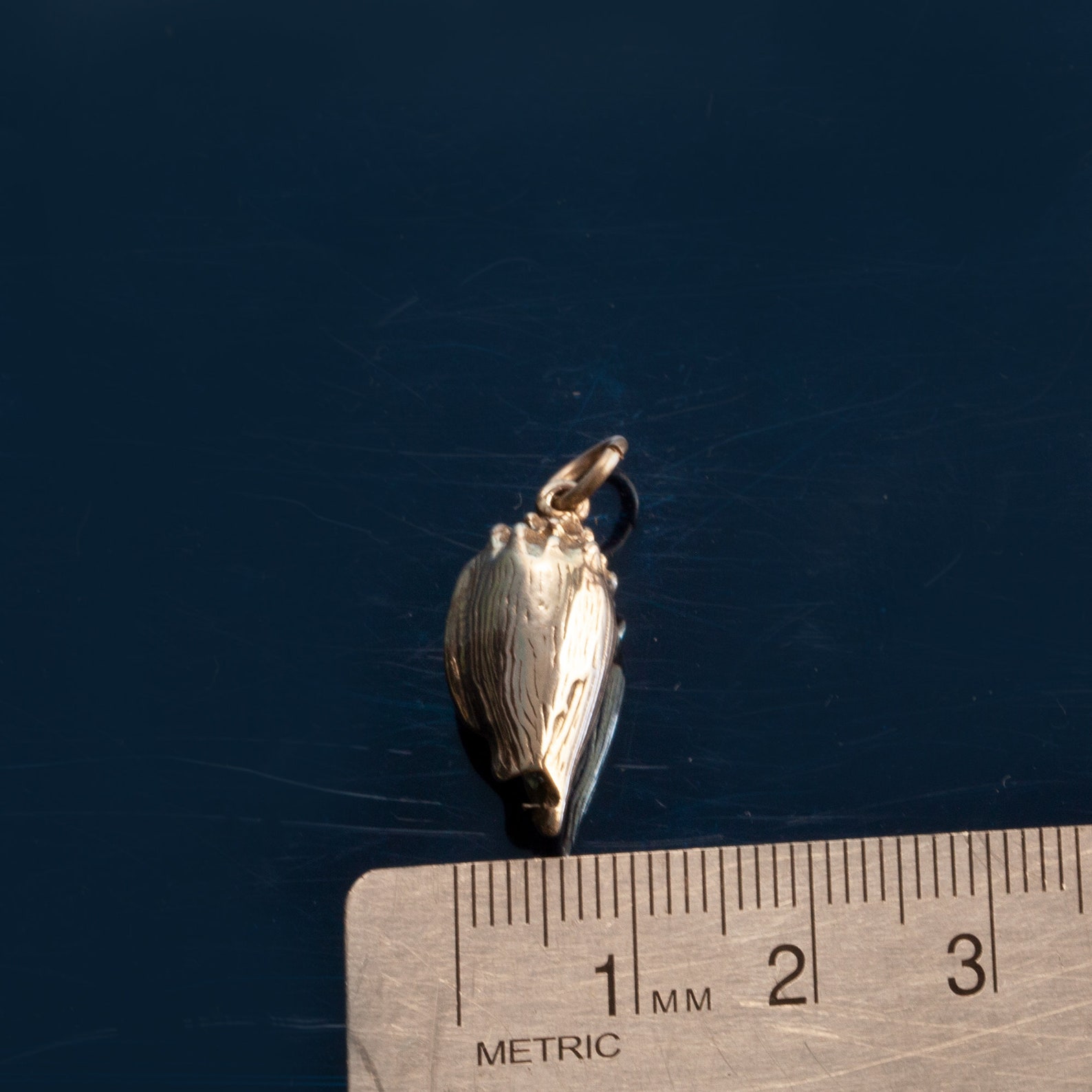Conch Shell Charm - Sterling Silver - Beach Conch Shell Charm on Coral ...