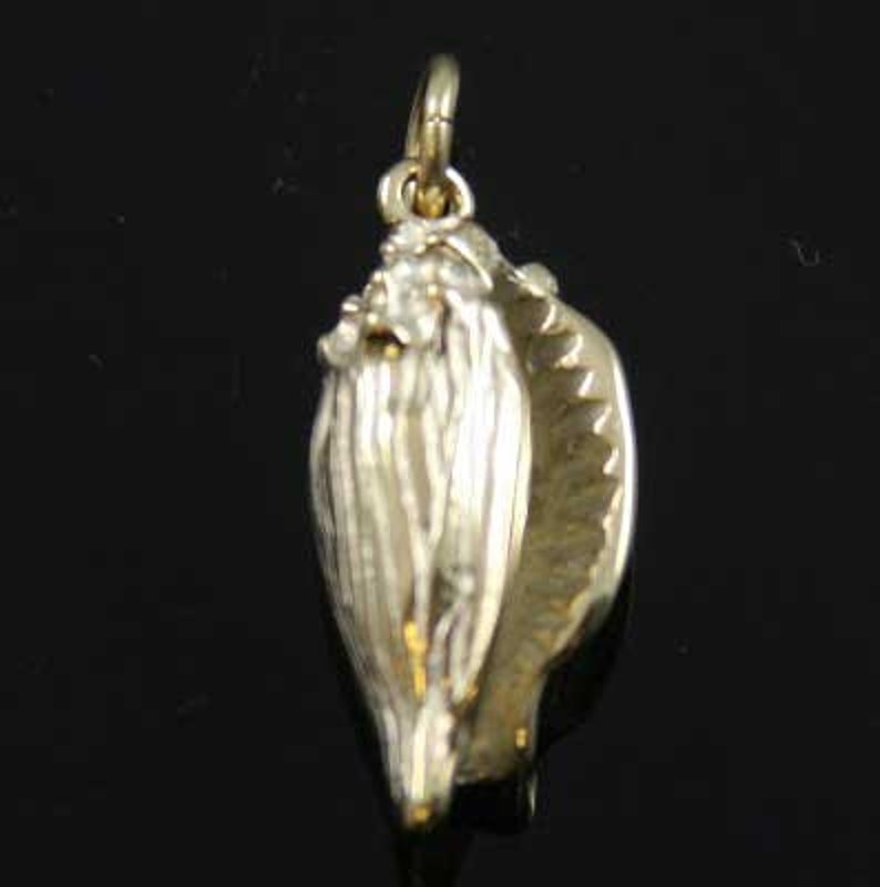 Conch Shell Charm - Sterling Silver - Beach Conch Shell Charm on Coral ...