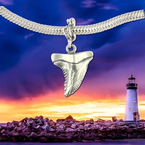 Shark Tooth Charm - Sterling Silver - Shark Tooth Charm on Coral Spacer ...