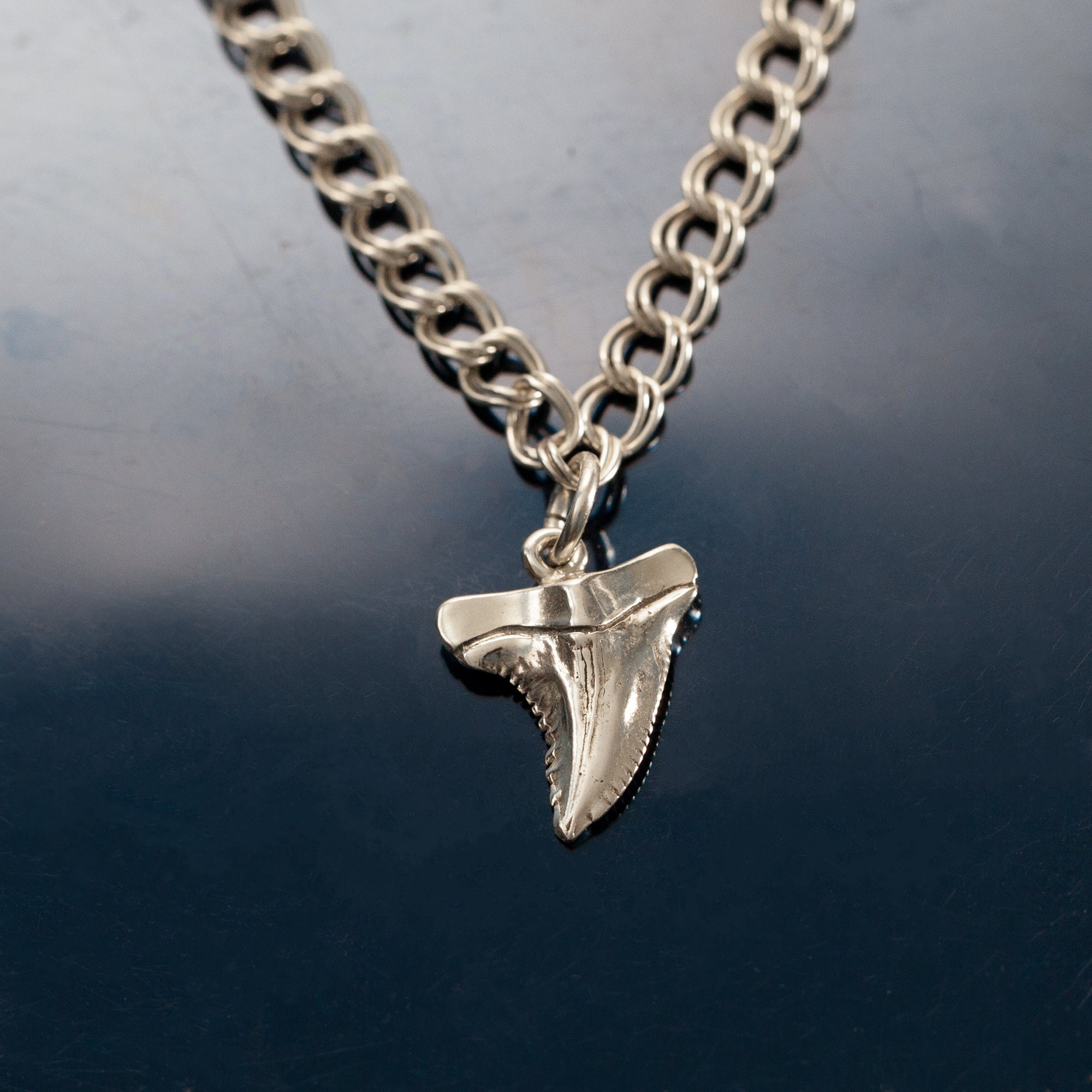 Shark Tooth Charm - Sterling Silver - Shark Tooth Charm on Coral Spacer ...