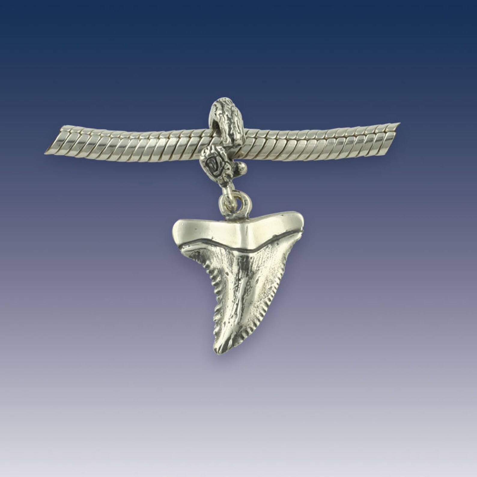 Shark Tooth Charm - Sterling Silver - Shark Tooth Charm on Coral Spacer ...