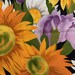 The Alexander Henry Collection Sunflowers, Iris and Daisies - Sold by ...