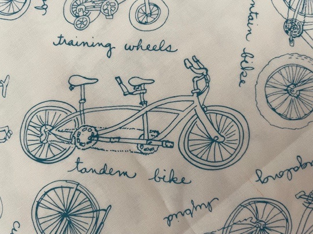 Cycles of Life by Kristen Berger of Kite Flying Society for Maywood ...