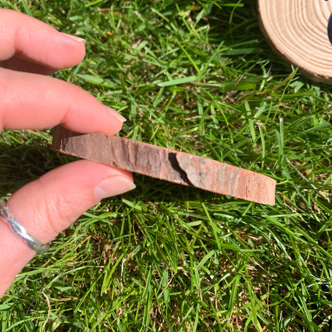 Log Slice Visual Timetable Natural Classroom Resources | Etsy