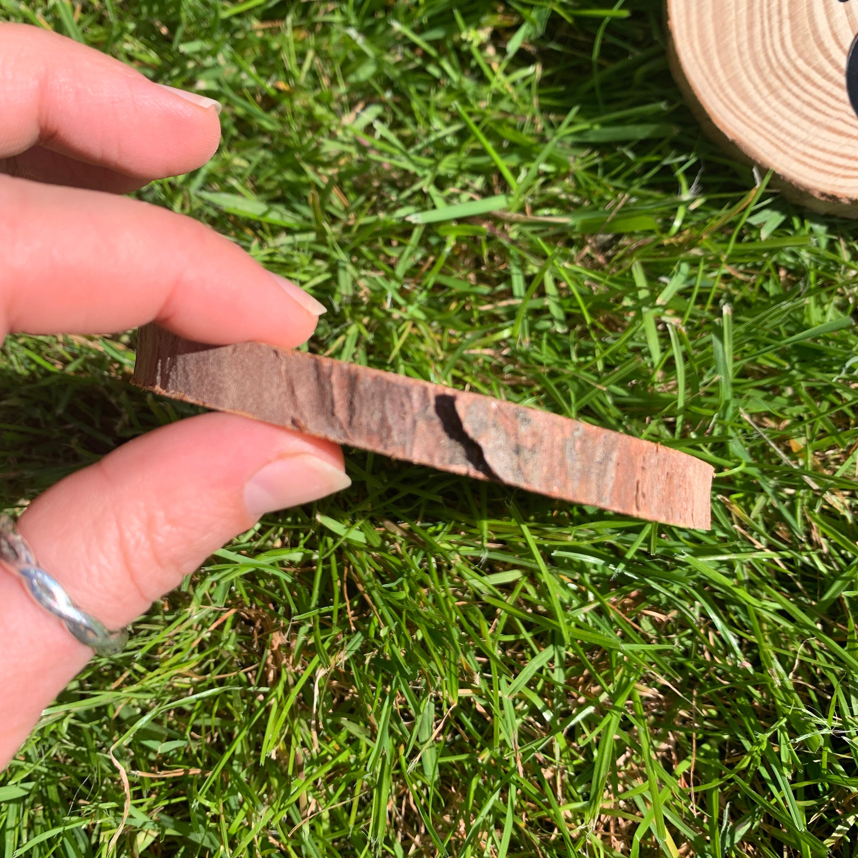 Log Slice Visual Timetable ( Natural Classroom Resources ) - Etsy UK