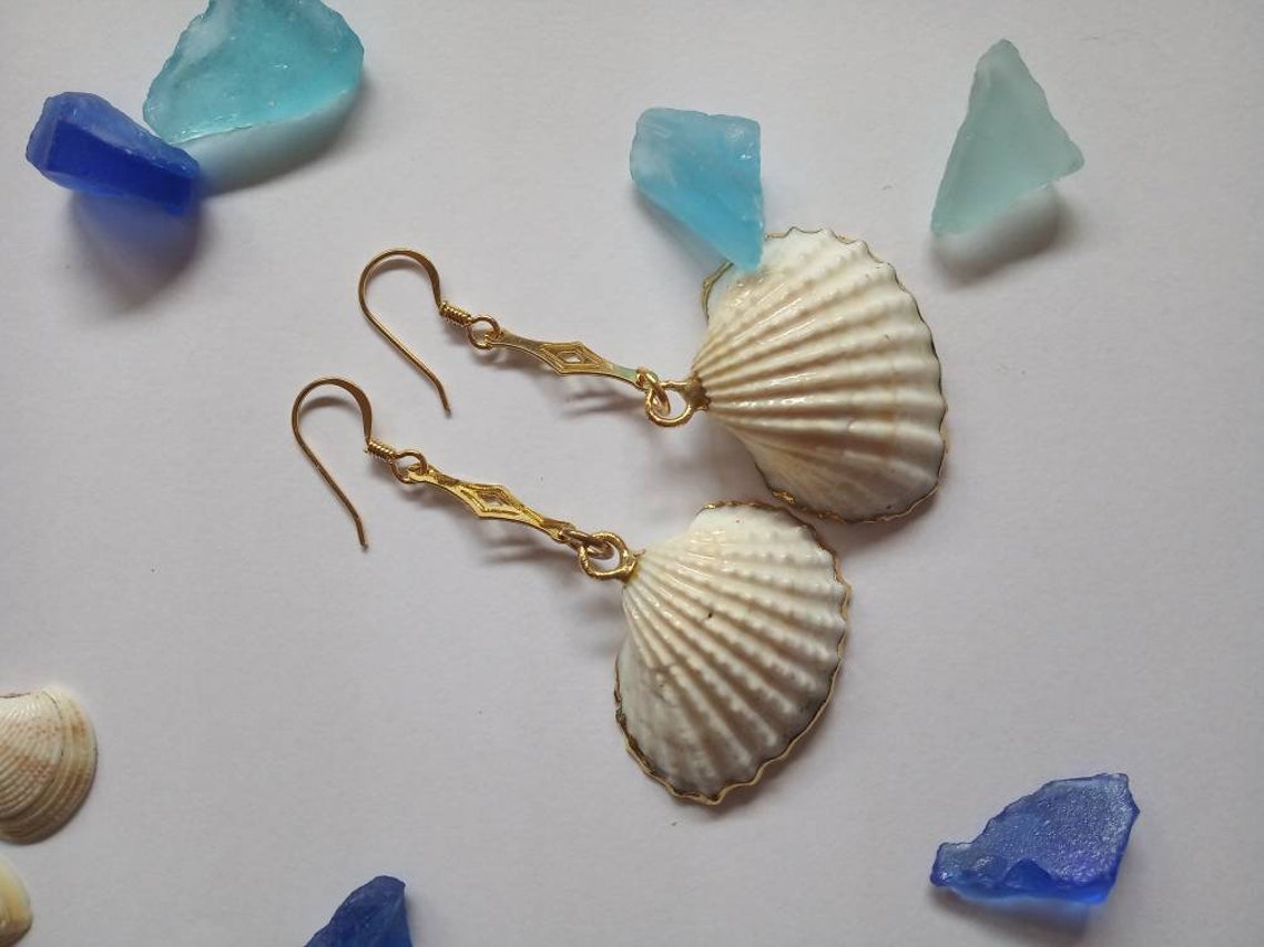 Natural & gold seashell earrings dangle sea shell earrings | Etsy